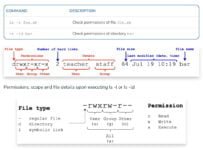 A Comprehensive Guide to Linux File Permissions | CentLinux