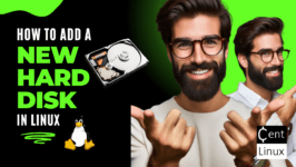 How to Add a New Hard Disk in Linux | CentLinux